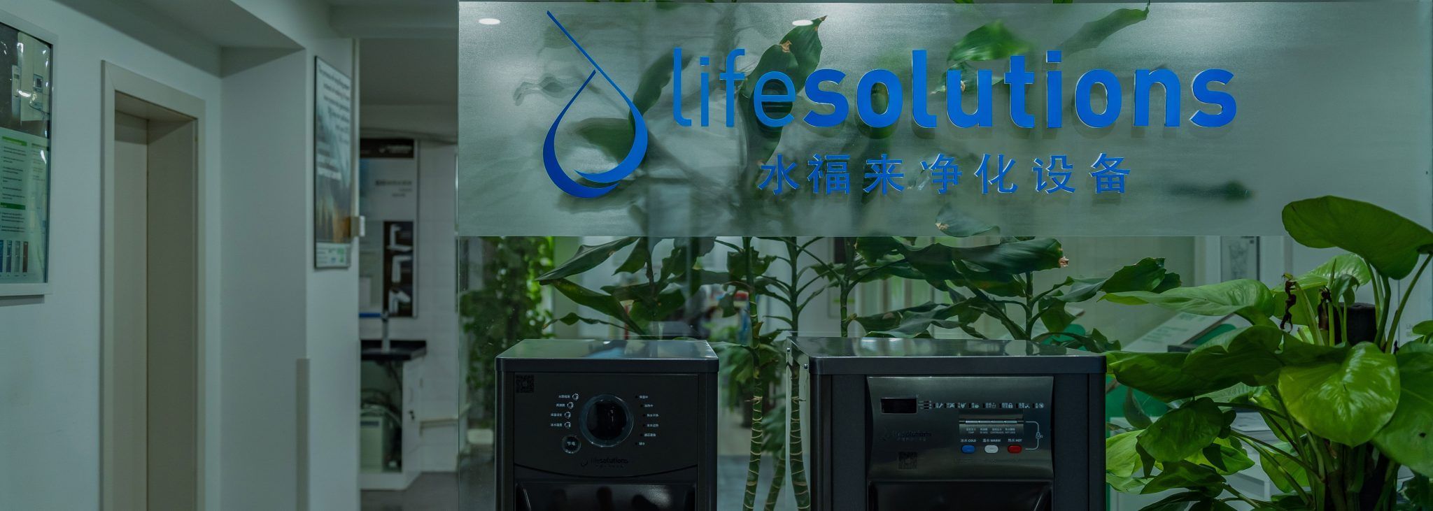 Our Story | Life Solutions